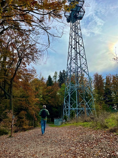 Zurich Cable Car Scenery up Panoramic Lake Zurich Comfort - Panoramic Views and Photography