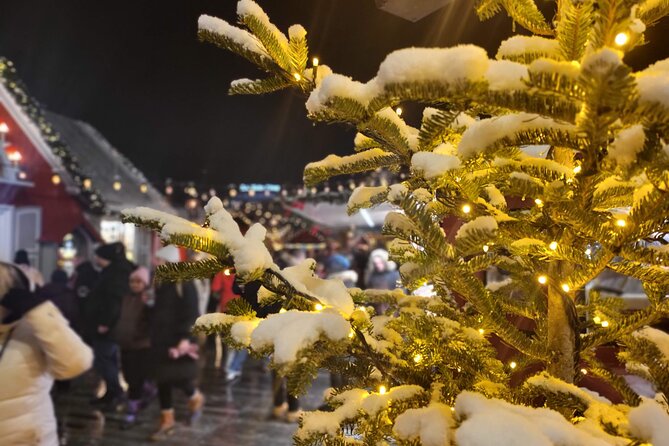 Zurich Christmas Market Tour - Frequently Asked Questions