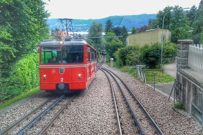 Zürich City Private Walking Tour With Optional Lake Cruise - Accessibility and Conditions