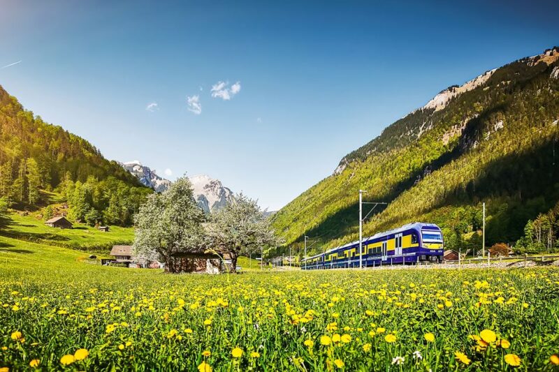 Zurich: Day Trip to Grindelwald & Interlaken by Bus & Train - Itinerary and Highlights