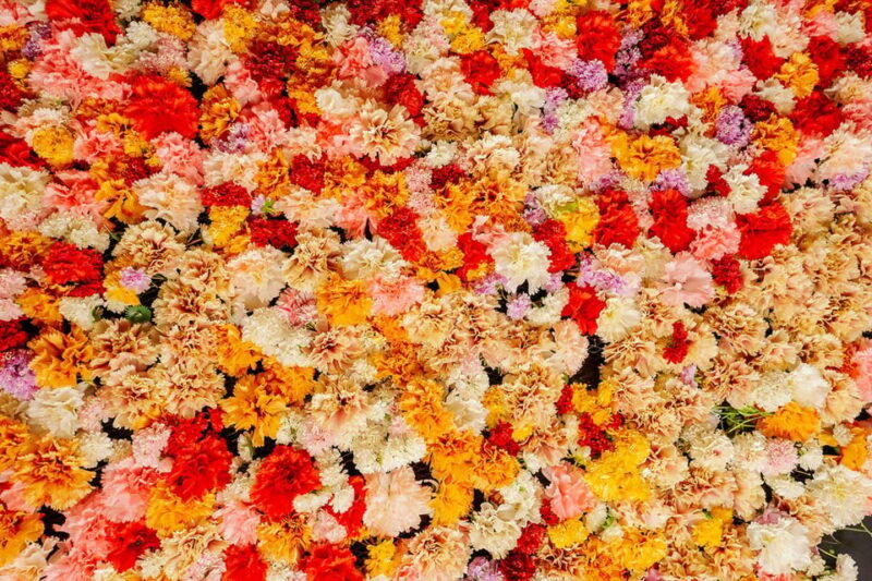 Zurich: Disco Admission Incl. DJ - Accessibility and Safety