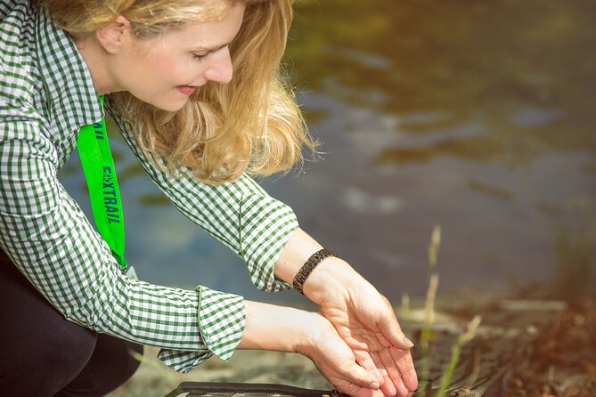 Zurich Foxtrail Aristotle - Discovering Zurich in a New Way