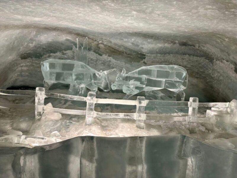 Zurich: Gornergrat Railway & Matterhorn Glacier Paradise - Booking and Logistics