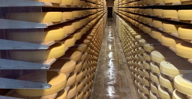 Zurich: Gruyères Castle, Cheese, Chocolate Private Day Tour - Experience Highlights