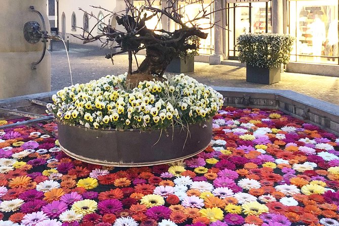 Zurich Highlights In A 2+ Hour Walking Tour Including Panoramic Views - Review Insights