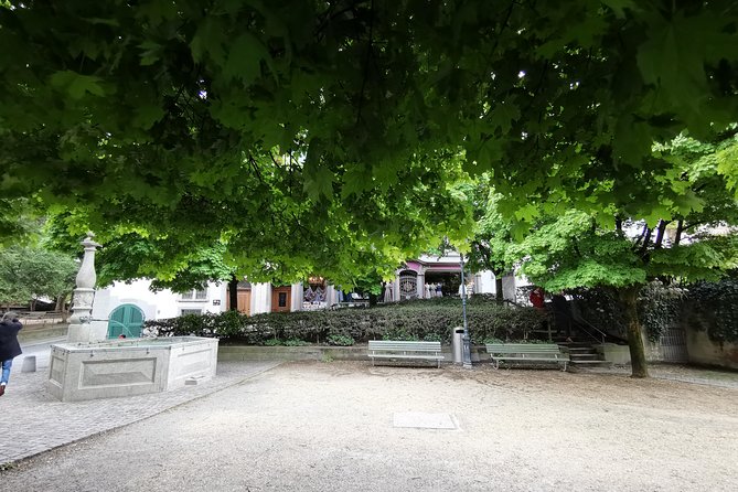 Zürich Historic District Tour - Ideal Timing for Your Tour