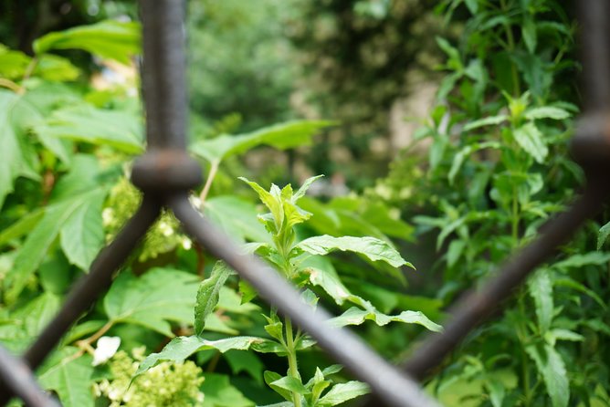 Zürich Historic District Tour - Additional Tips for Exploring Zurich