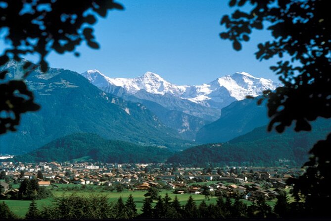 Zurich: Interlaken, Grindelwald & Harder Kulm Small Group Tour - The Experience, According to Real Travelers