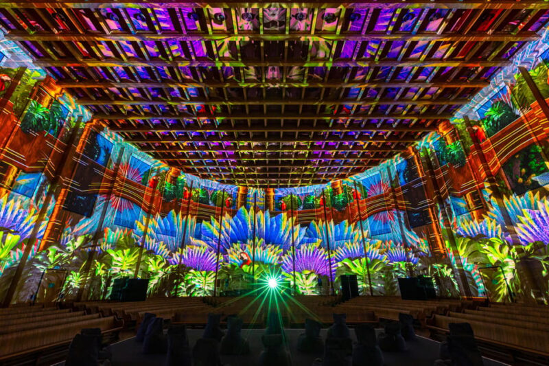 Zurich: Pixel Zoo Jungle - an Immersive Journey Through the Rainforests - Key Points