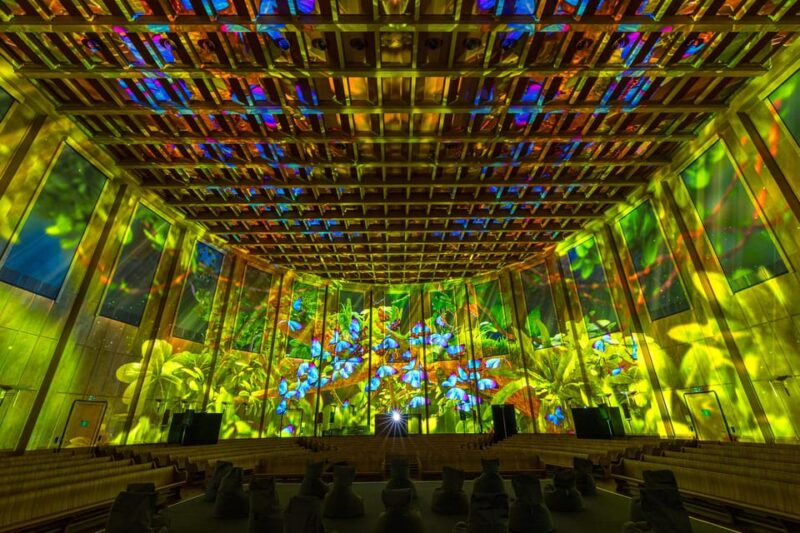 Zurich: Pixel Zoo Jungle - an Immersive Journey Through the Rainforests - Exploring the Rainforests Diverse Ecosystem