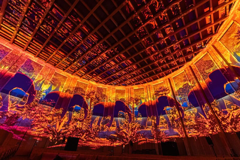 Zurich: Pixel Zoo Jungle - an Immersive Journey Through the Rainforests - Bringing Digital Animals to Life