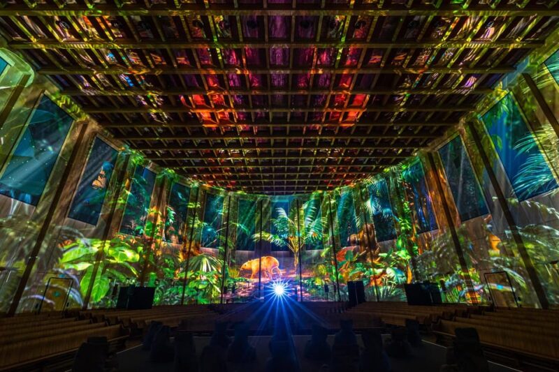 Zurich: Pixel Zoo Jungle - an Immersive Journey Through the Rainforests - Immersive Soundscape of the Jungle
