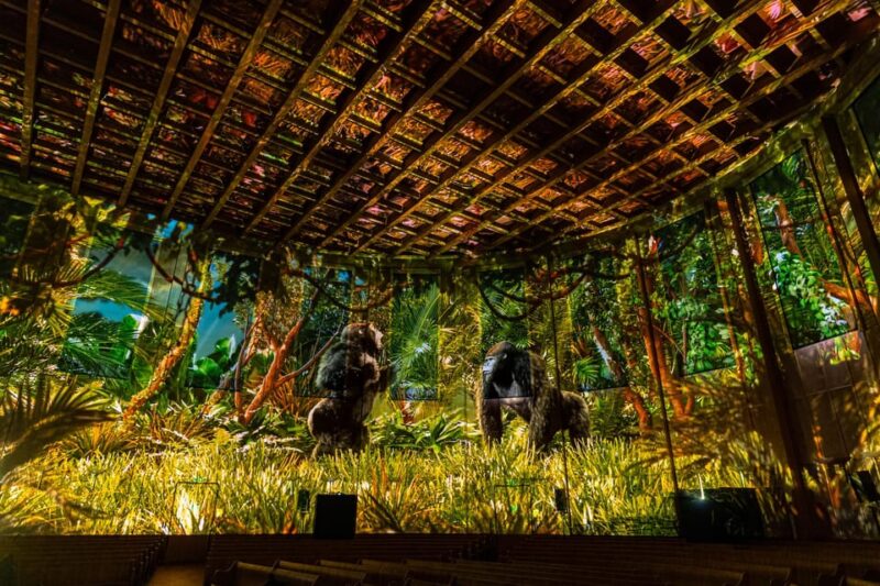 Zurich: Pixel Zoo Jungle - an Immersive Journey Through the Rainforests - Interactive Components Post-Show