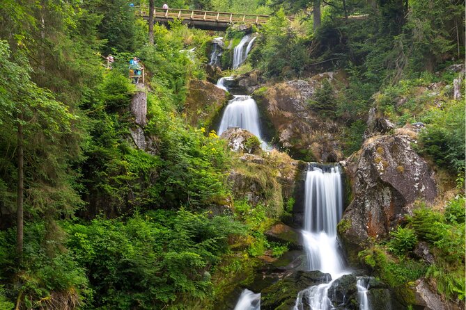 Zürich: Private Car Tour to Rhine Falls, Titisee and Black Forest - Final Thoughts