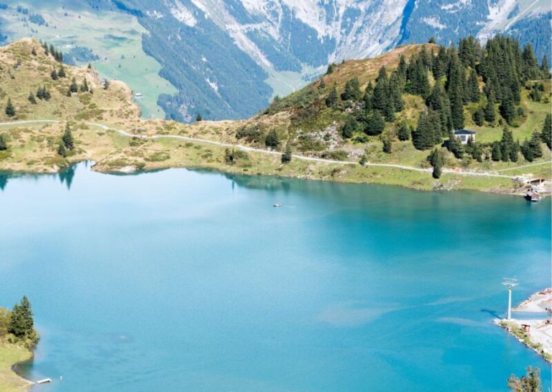 Zurich: Private Daytrip to Lucerne, Engelberg & Mount Titlis - Customer Feedback
