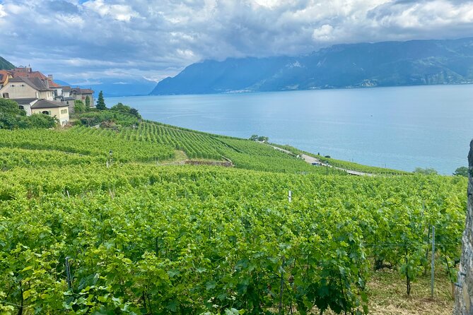 Zurich Private Tour - Gruyères, Cheese, and Lavaux's UNESCO Wine - Key Points