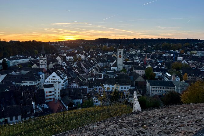 Zurich Private Tour: Stein Am Rhein Schaffhausen and Rhine Cruise - The Sum Up