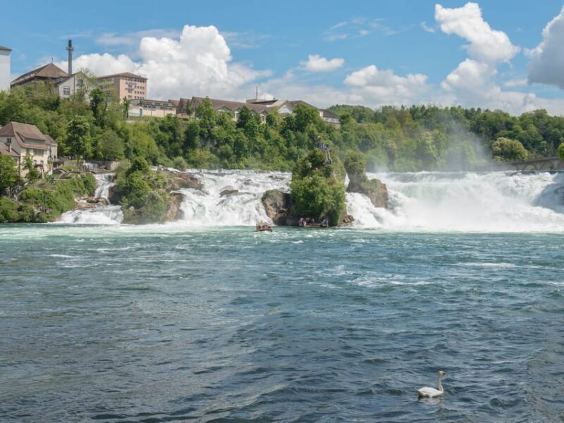 Zurich: Rhine Falls, Chocolate & Cheese Factory Day Trip - Highlights of the Rhine Falls