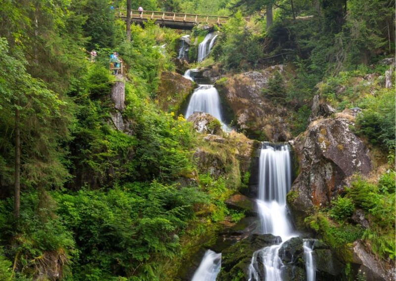 Zürich:Private Car Tour- Rhine Falls, Titisee & Black Forest - Stein Am Rhein