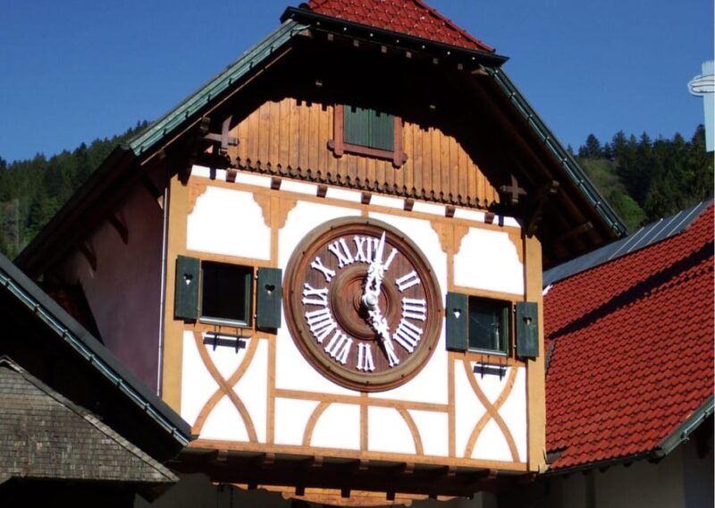 Zürich:Private Car Tour- Rhine Falls, Titisee & Black Forest - Schaffhausen