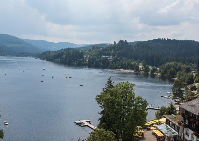 Zürich:Private Car Tour- Rhine Falls, Titisee & Black Forest - Since You Asked