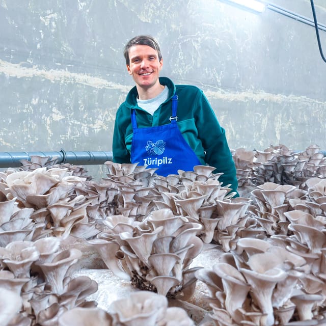 Zurich's Best-Kept Secret: the Hidden World of Mushrooms! - Preparation and Safety Precautions